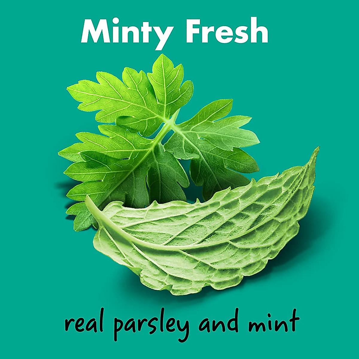 Chewsday Small Daily Dental Dog Chews, Minty Fresh and Cinnamon Clean, Made in The USA, Natural Highly-Digestible Oral Health Treats for Healthy Gums and Teeth