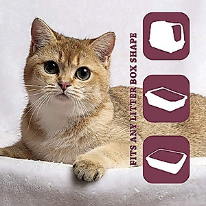 Alfapet Kitty Cat Litter Box Disposable, Elastic Liners- 12-Count-for Medium and Large, Size Litter Pans- with Sta-Put Technology for Firm, Easy Fit- Quick + Clever Waste Cleaners