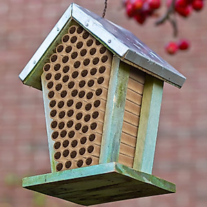 Gueevin 400 Pcs Mason Beehive Tubes 6 Inch Long Cardboard Beehive Nesting Tubes Nesting Paper Inserts for Outdoor Beekeeper's Garden House Hotel Condo Beehive Nest