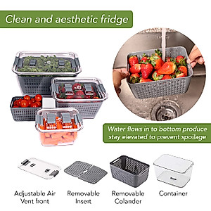 Fruit Storage Containers for Fridge Produce Saver Container for Refrigerator Vegetable Lettuce Keeper Organizer Food Berry Bin with Lid