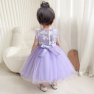 Baby Girls Birthday Dress Infant Ruffled Butterfly Embroidered Special Occasion Dresses (80/12-18M, Purple)