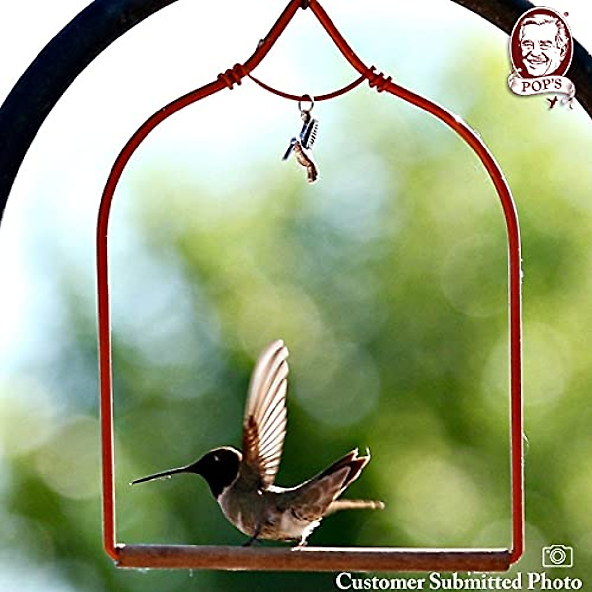 POP'S Birding, The Original Charm Hummingbird Swing for Outdoors - Perfect Bird Perch for Small Birds - Sturdy Steel Metal Swing Set with Hook Included