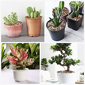 GASPRO 5lbs Lava Rocks for Plants, 1/5 Inch Pea Gravel for Succulent, Pots Indoor, Terrarium, Cactus, Bamboo, Bonsai Tree, Top-Dressing, Mixed Color Volcanic Rocks, Good Drainage