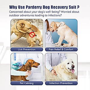 Parderry Dog Recovery Suit for Surgery Dog Onesie for Female and Male E-Collar Alternative Anti Shedding Pajamas Long Sleeve Claming Bodysuit Gray XXL