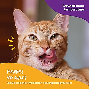 Beefeaters Cat Treats - Variety Pack Lickable Puree 48ct | Cat Food Salmon, Tuna, Chicken | Grain-Free, Taurine-Enriched | Training Treats - Interactive Feeding | Wet/Dry Food