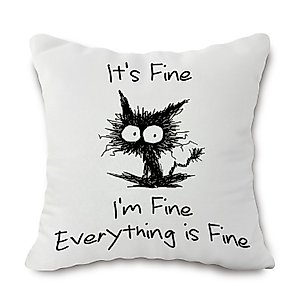 Inspirational Quotes Throw Pillow Cover, Everything is Fine Sofa Home Bed Decor Study Black Cat Couch Case, 18 x 18 Inches Pillowcase Gift for School Office Bedroom Living Room Reading Room -13