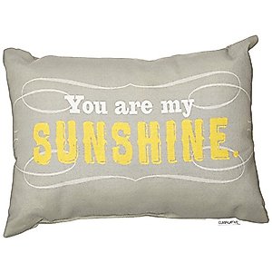 Manual Reversible Indoor/Outdoor Throw Pillow, You are My Sunshine, 18 X 13-Inch