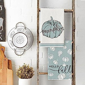 Artoid Mode Blue Watercolor Pumpkin Hello Fall Kitchen Towels Dish Towels, 18x26 Inch Seasonal Decoration Hand Towels Set of 2