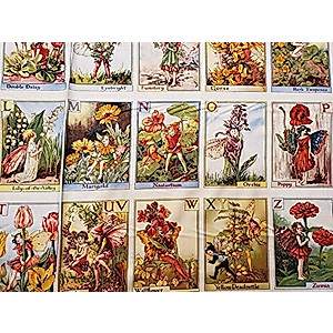 Alphabet Panel Flower Fairy ABC Fabric Michael Miller - 24 Inch Panel
