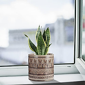 EPFamily 8 Inch Succulent Planter + 5.7 Inch + 4.7 Inch Flower Pot for Indoor Plants