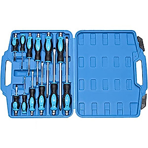 12-Piece Through steel core Screwdriver Set,Go-thru Steel Blade High Torque for Fastening,Chiseling or Loosening Seized Screws,6Phillips&6Slotted Magnetic Bit,With Carry Case.Gifts for men
