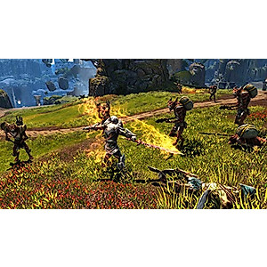 Kingdoms of Amalur Re-Reckoning - Nintendo Switch