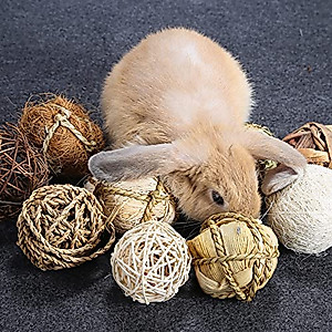 DAMPET Small Animals Play Balls, Chew Grass Balls & Rolling Chew Toys for Bunny, Improve Pets Dental Health for Rabbit, Chinchilla, Guinea Pigs, Hamsters, Gerbils, Rats, Mice （9 Pieces）