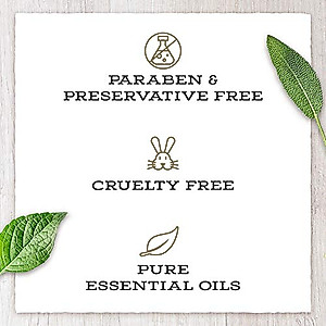 Little Moon Essentials Lip Balm (Spearmint Crème, 3 Pack)