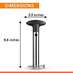 Cheer Collection Pineapple Corer And Slicer Tool, Stainless Steel Pineapple Core Remover with Non Slip Handle