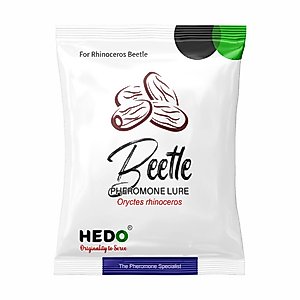 HEDO Beetle Lure Pack of 10| Pheromone Lure for Rhinoceros Beetle (oryctes Rhinoceros) for Coconut & Palm Tree