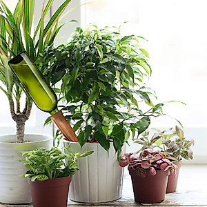 Sedmoon Plant Watering Spikes 6 Pack Self Watering Terracotta Spikes Automatically Water Your Indoor and Outdoor Plants While On Vacation