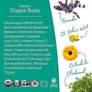 Earth Mama Organic Diaper Balm Multipurpose Baby Ointment Set | EWG Verified, Petroleum & Fragrance Free with Calendula for Sensitive Skin