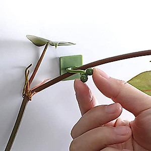 110Pcs Wall Plants Climber Vine Sticky Wall Clips Green 3 Different Size Wall Fixture Clips | Plant Fixture Cable Clips Self-Adhesive Plant Clips Fixing Hook Wall Vine Supports Traction Wall Clip