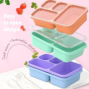 XGXN Bento Lunch Box Set - 4 Meal Prep Containers for Kids & Adults, Thickened and Easy-to-clean Lunch Box Containers, Stackable, Microwave Safe, BPA-Free (Wheat(Purple/Green/Blue/Orange))