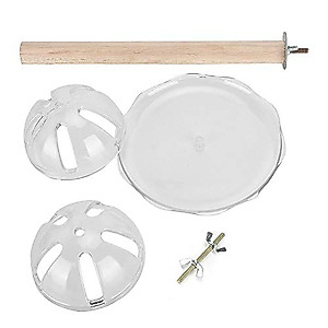 Bird Foraging Ball, Creative Buffet Party Food Feeder Swing Toys Durable Bite Resistant Standing Rod Toys for Training