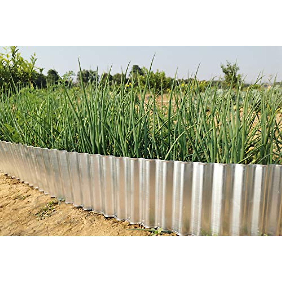 Landscape Edging Borders,Corrugated Metal Garden Lawn Edging for Vegetable,Flower Beds, Patios and Courtyard Fence