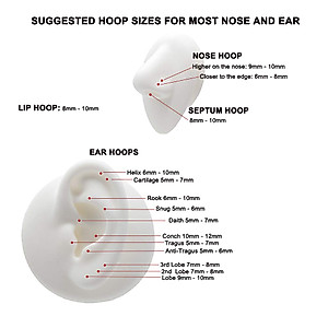 FANSING Titanium Nose Rings 18g Nose Hoop 8mm Piercing Hoop for Cartilage Helix Septum Jewelry 18 Gauge