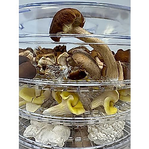 Myco Labs 350 Watt Mushroom Dehydrator with Adjustable Temperature Control and Extra Tall Trays