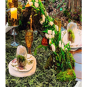 KARRYHOME 10 OZ Fake Moss for Potted Plants Artificial Moss for Fake Plants Faux Moss for Planters Decorative Moss for Craft ，Green Moss and Home Decor