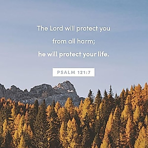 CSB Tony Evans Study Bible, Hardcover, Black Letter, Study Notes and Commentary, Articles, Videos, Charts, Easy-to-Read Bible Serif Type