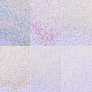 6 Pcs Pearl Nail Powder Set, Neon Rainbow Holographic Ice Transparent Aurora Nail Powder, Chrome Iridescent Pigment Pearlescent High Gloss Nail Art Glitter