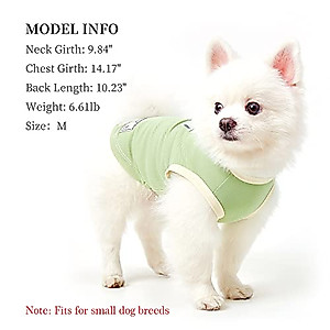 ISPET Dog Shirts Self Cooling T-Shirts, Ice Silk Summer Dog Tee Shirts Soft Pet Sleeveless Vest Tank Top for Small Dogs Boys Girls - Avoid Overheating, Green, Medium