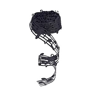 PH PandaHall Music Note Ribbon 20 Yard Music Party Decoration 30mm Rock and Roll Party Decorations Hollow Cut Out Music Note Clothing Trim for Scrapbooking Music Party Birthday Wedding Decor, Black