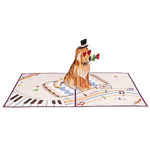 Pop of Art - I Ruff You Pop Up Card, Handmade 3D Popup Greeting Cards For Valentines Day, Mothers Day, Wedding, Anniversary, Love, Romance, Thank You, Thinking of You or All Occasion | 5" x 7"