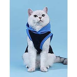 QWINEE Mom Boy Dog Hooded Tank Tops Letter Print Cat Puppy Hoodie Vest Sleeveless Pullover Dog Shirt Stretchy Pet Clothes for Small Medium Large Cats Dogs Kitten Blue M