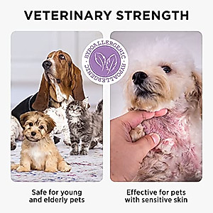 HICC GROOM! Hot Spot Treatment and Itch Relief Spray for Dogs & Cats, Rapidly Alleviate Dry Itchy Skin, Skin Allergies, Scratching, Excessive Licking, Wound Wash Spray, 3.4 Fl Oz