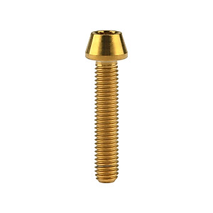 Wanyifa Titanium Ti Bolt M5x9 16 18 20 25 30 35 40 45 50 55 60mm Tapered Head Screws pack of 4 (M5x25mm, Gold)