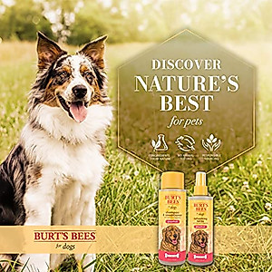 Burt's Bees for Dogs Refreshing Spray with Natural Grapefruit Fragrance Natural Dog Deodorizing Spray, pH Balanced for Dogs, Sulfate & Paraben Free, Made in The USA, 8 oz