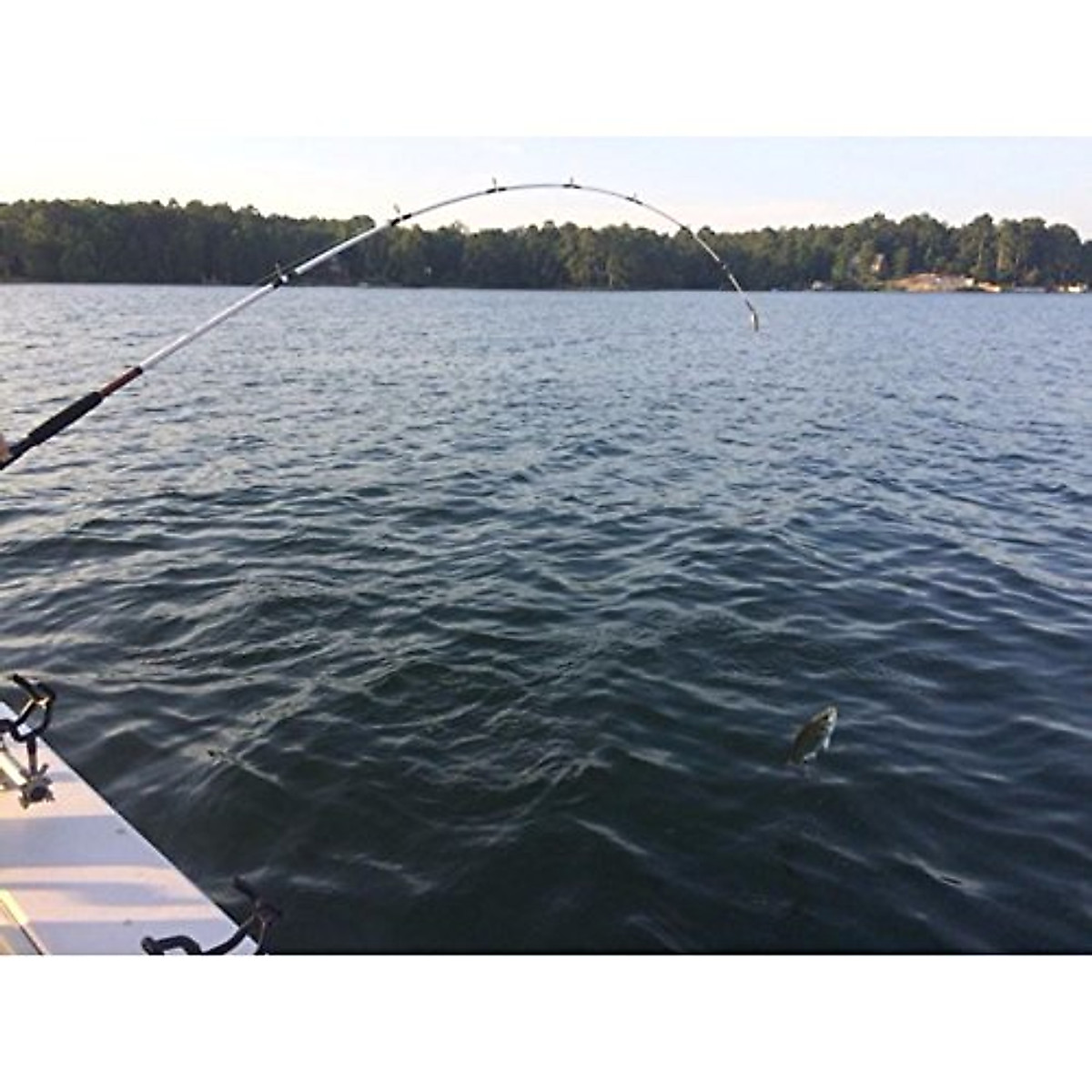 Shakespeare Ugly Stik 8’ Catfish Spinning Rod, Two Piece Catfish Rod, 15-30lb Line Rating, Medium Heavy Rod Power, Moderate Fast Action, 1/2-3 oz. Lure Rating