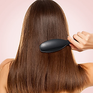 Gandeer 2 Pcs Wig Hair Brush Set - Stainless Steel Wire Brush for Synthetic Wigs, Hair Extensions for Women and Girls