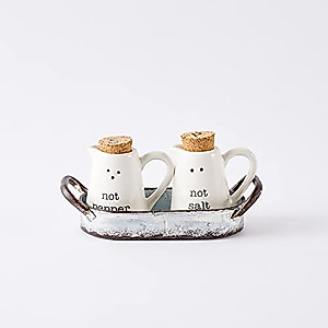 Mud Pie Farmhouse Inspired Ceramic Aluminum Salt and Pepper Caddy Set, One size, White