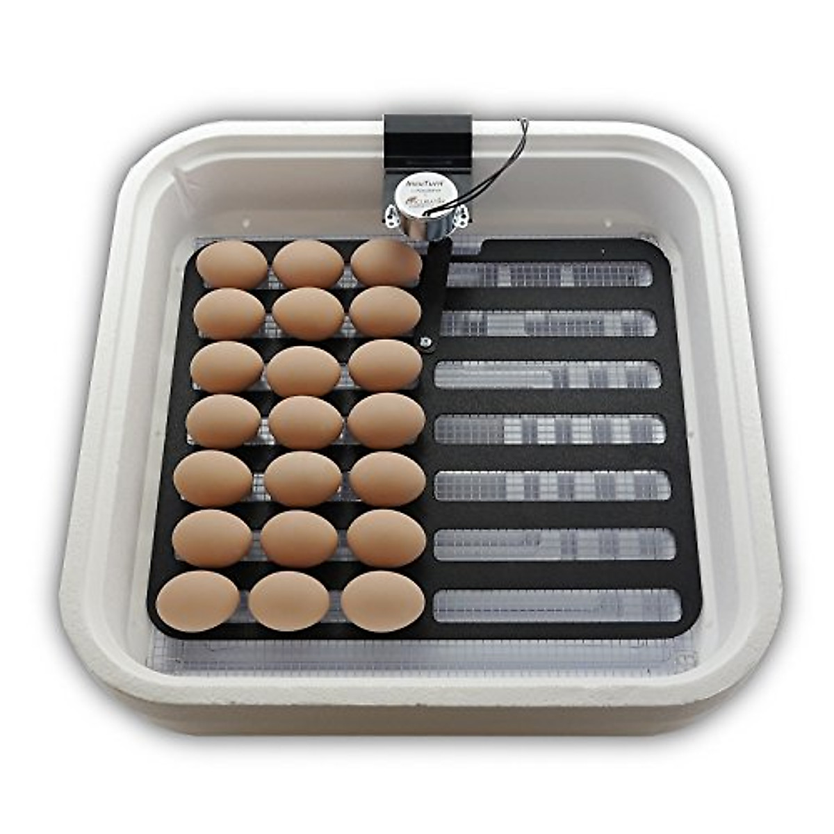 HovaBator 2370 Egg Incubator Deluxe Combo Kit, Electronic Thermostat, Circulating Air Fan, Automatic Egg Turner, Hygrometer for Humidity Measurement, Quail - Goose Hatching Eggs, Poultry