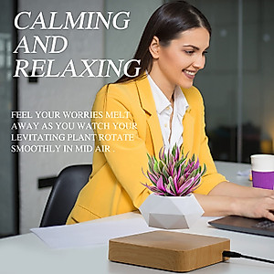 Levitating Air Bonsai Pot, Rotation Flower Planters, Magnetic Levitation Suspension Floating Pot, Potted Plant Desk Decor in Flower Pots & Planters from Home & Garden on (Light Color)