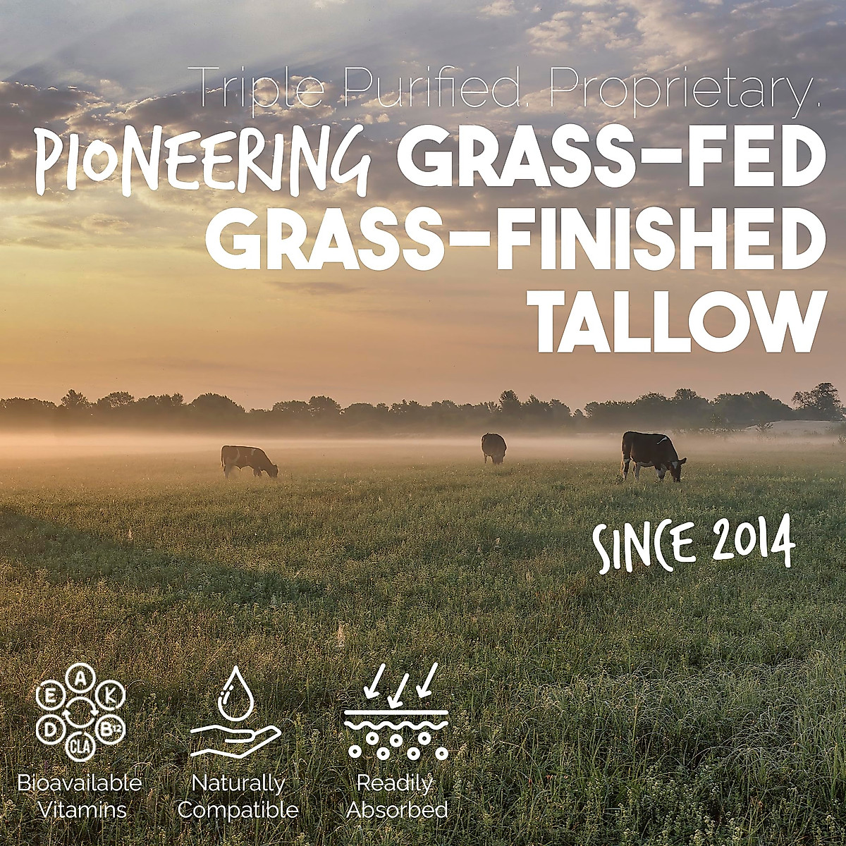 BALM OF GILEAD Manuka Eczema Honey Cream - Moisturizer for Sensitive Skin, Eczema, Psoriasis & Dermatitis - Manuka Honey Ointment, Grassfed Tallow