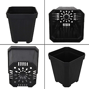 Ziqi 60pcs Plastic Square Nursery Pot (Black) Thick Plastic Square Flower Planting Pots with Drainage Hole for Seed Germination, Seed Starting Pots, Modern Decorative Flower Pot