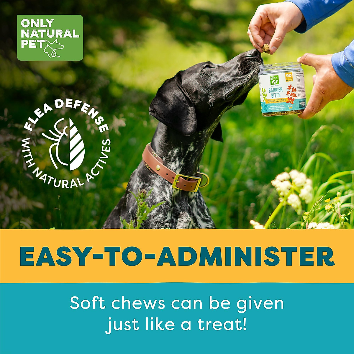 Only Natural Pet EasyDefense Barrier Bites Soft Flea Chews for Dogs - First Line of Defense Againts Fleas & Ticks, Boosts Immune System and Healthy Skin & Coat - (90 Bacon Flavored Soft Chews) 1 Pack