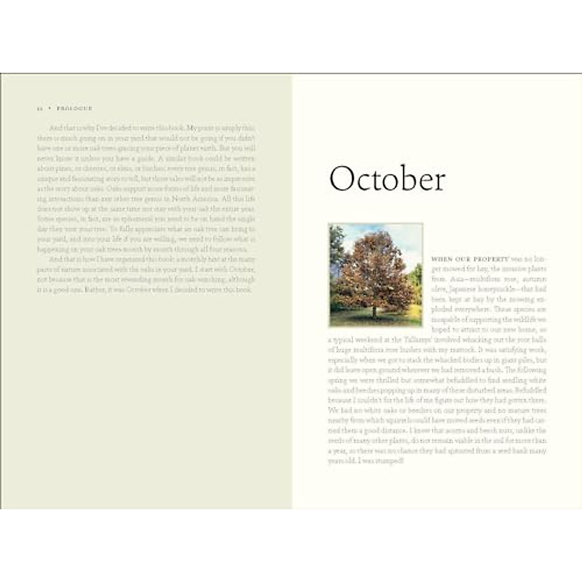 The Nature of Oaks: The Rich Ecology of Our Most Essential Native Trees