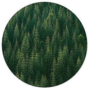 Christmas Reindeer Area Rug Round Rugs 3ft, Merry Christmas Happy New Year Winter Holiday Area Runner Circle Rug Non-Slip Carpets Kids Living Room Bedroom Indoor Outdoor Nursery Rugs Décor