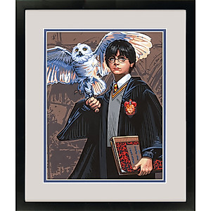 Dimensions PaintWorks Hedwig and Harry Potter Paint by Number Kit for Adults and Kids, Finished Project 11" x 14", Multicolor 15 Piece