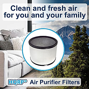 HQRP HEPA Filter compatible with Dyson Pure Cool Link Desk DP01 DP02 & Pure Hot+Cool HP01 HP02 Heater + Fan, 968125-03 EVO Filter Replacement